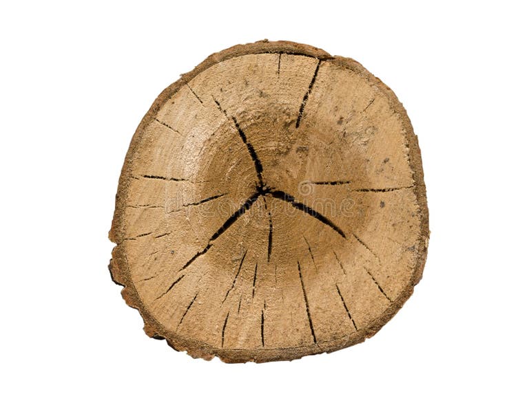 35,715 Log Circle Stock Photos - Free & Royalty-Free Stock Photos from ...