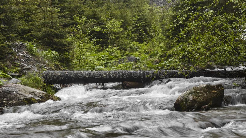 Log above the river stock photo. Image of flow, nature - 227830908