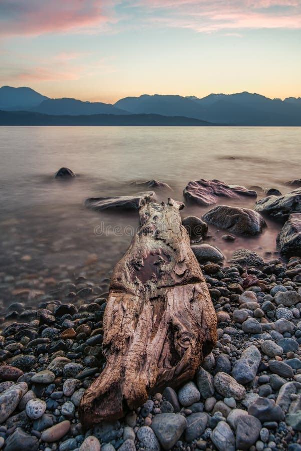 Log Along Lake Shore with Rocks Stock Photo - Image of natural, scenery ...