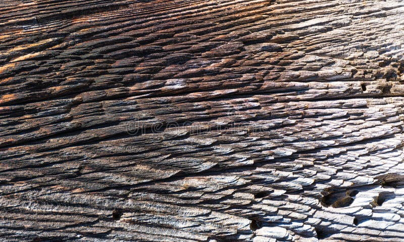 Log As a Background. Texture of Natural Wood Stock Photo - Image of ...