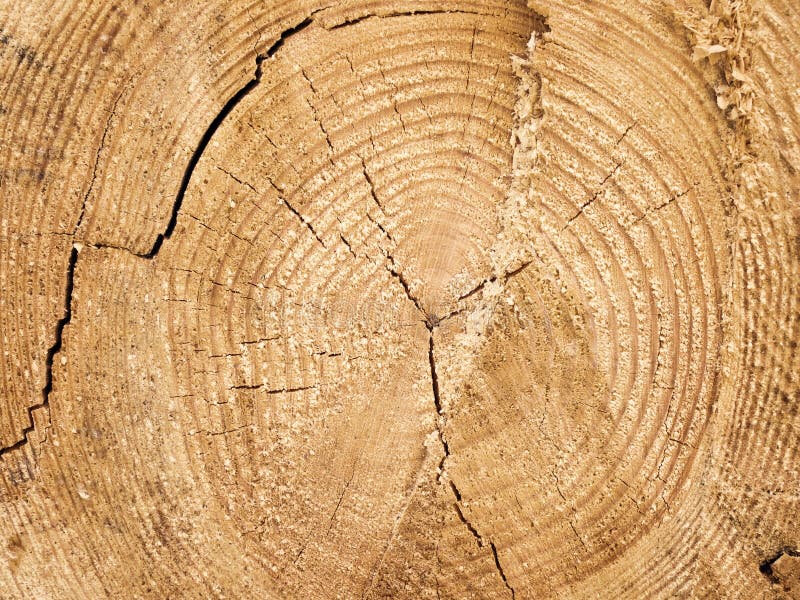 Log background stock photo. Image of lumber, texture - 22203936