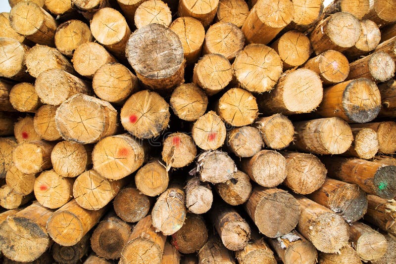 Log background stock image. Image of bark, pile, texture - 62329235