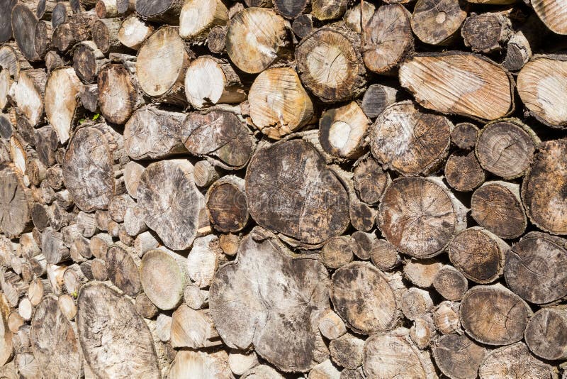 Log Background from Round Old Wooden Stock Photo - Image of natural ...