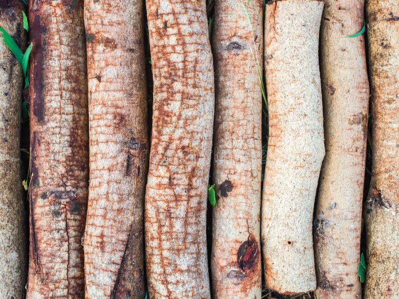 Log background texture stock image. Image of material - 54682145
