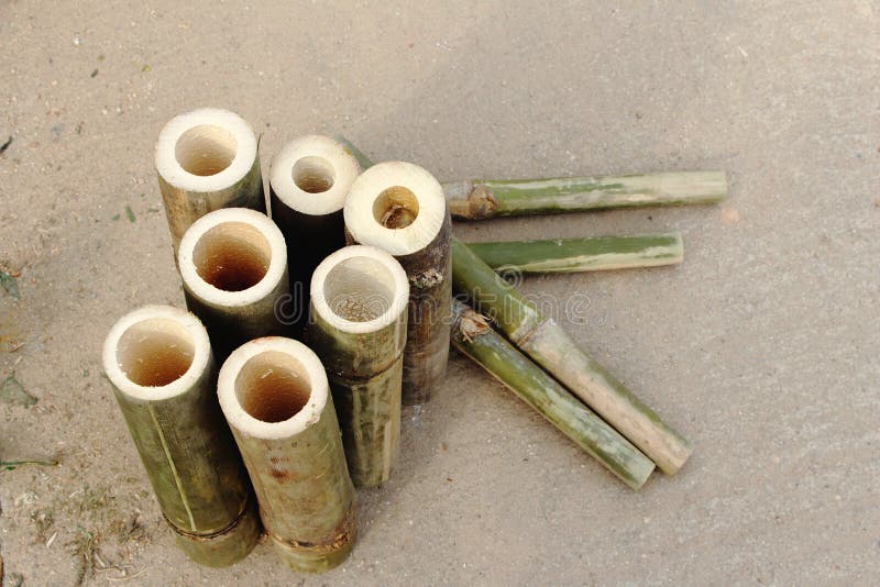 Log of bamboo stock photo. Image of material, trunk - 153771394