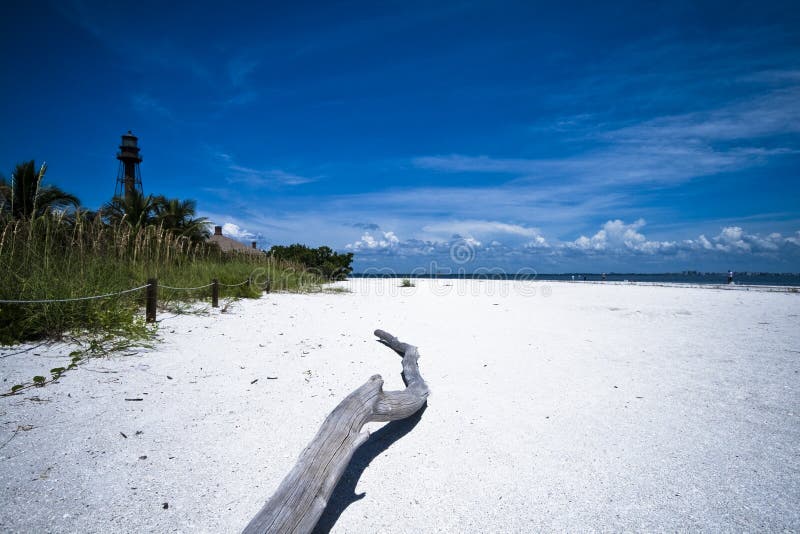 A log on the beach stock image. Image of outdoor, scenic - 10908179