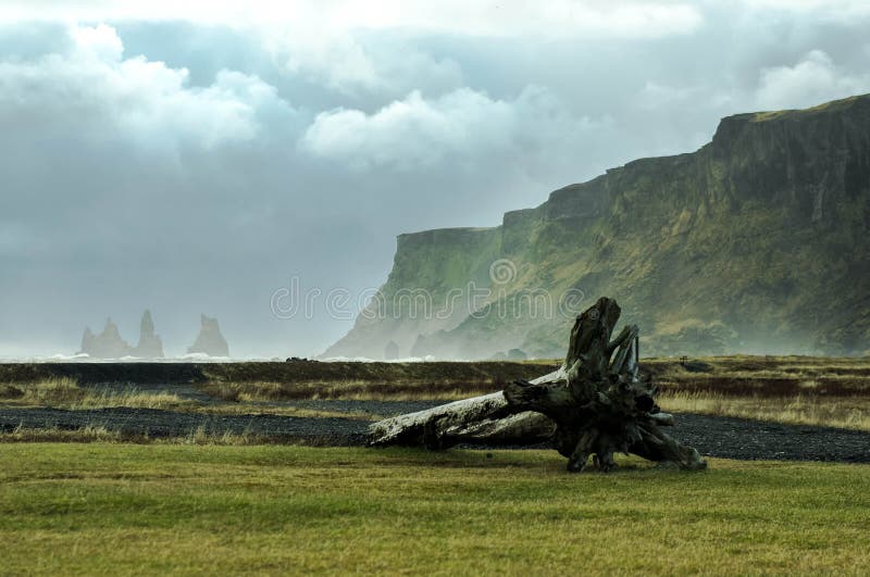 Log by the beach stock image. Image of cliff, iceland - 28939231