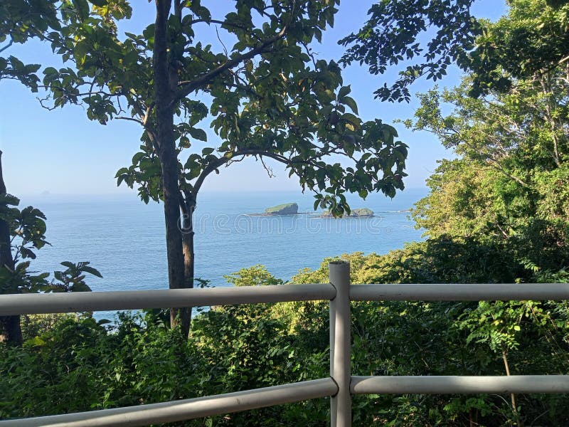A Log on the Beach with a Fence Branches Morning Afternoon Stock Photo ...