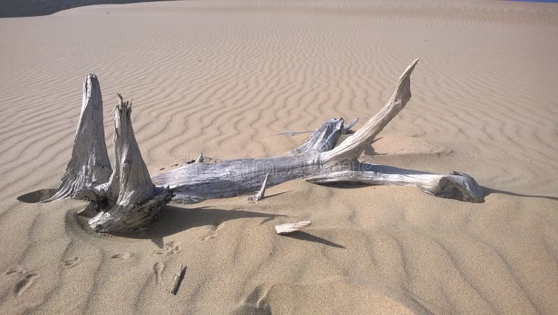 Van Stadens Mouth Stock Photos - Free & Royalty-Free Stock Photos from ...