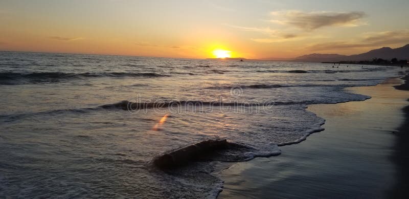 Log in the Beach Water at Sunset in Camarillo Stock Photo - Image of ...