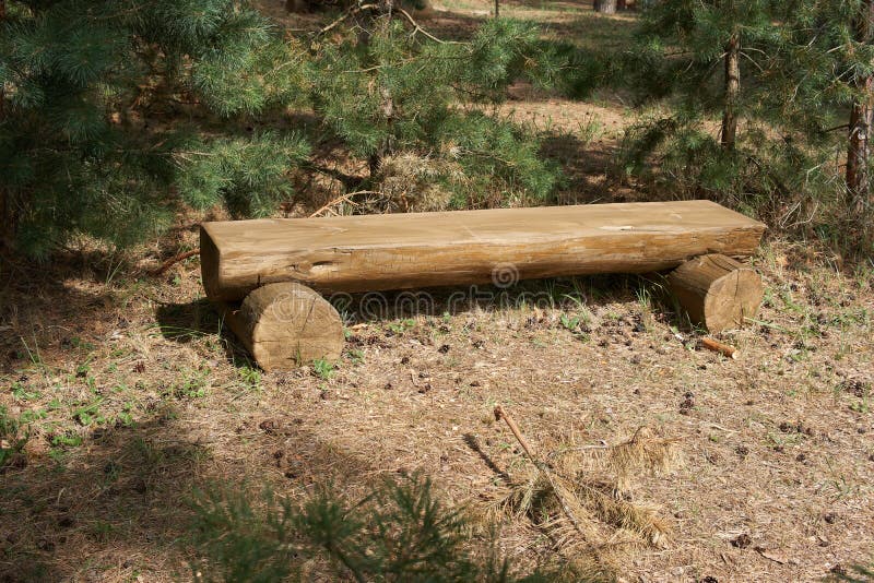 Log bench stock image. Image of cones, wilderness, pine - 226692189