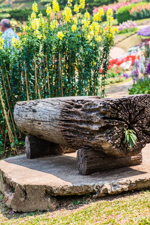 Log bench in park stock photo. Image of outdoor, beautiful - 212689546