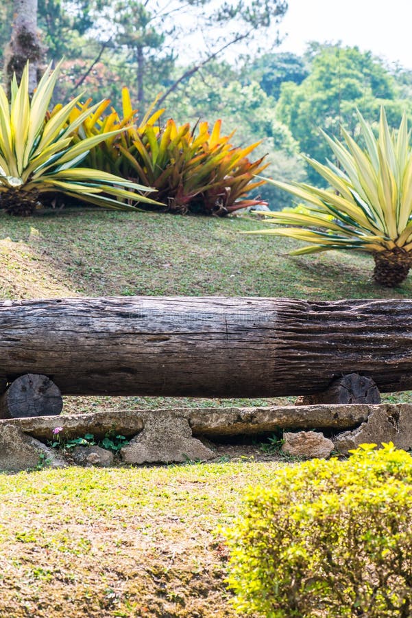 Log bench in park stock image. Image of background, design - 215643351