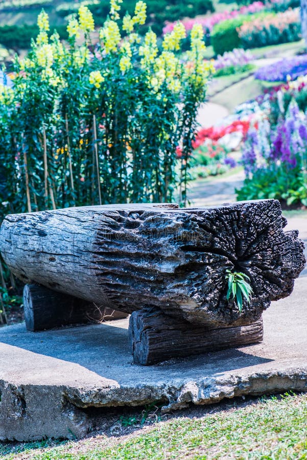 Log bench in park stock image. Image of plant, chair - 193260947