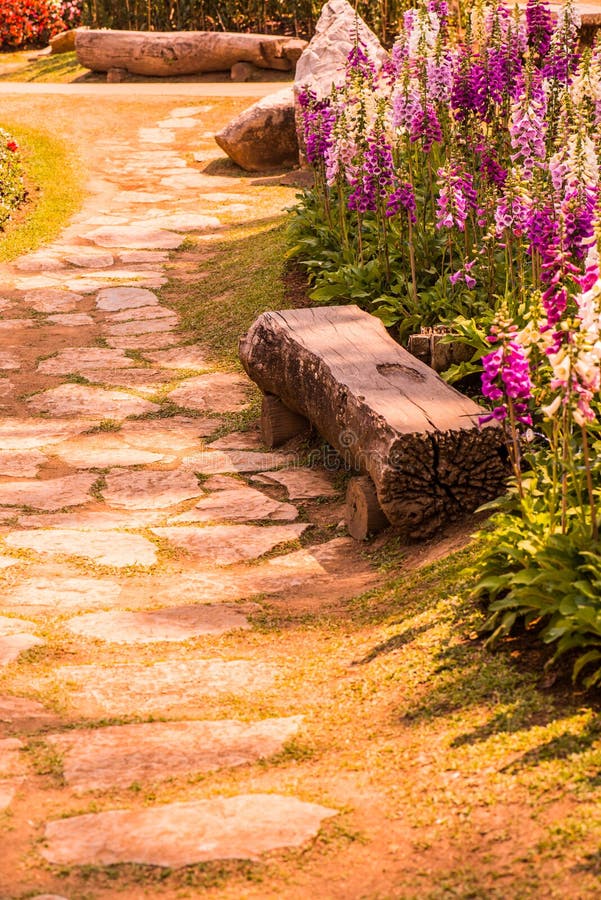 Log bench in park stock photo. Image of travel, brown - 193260976