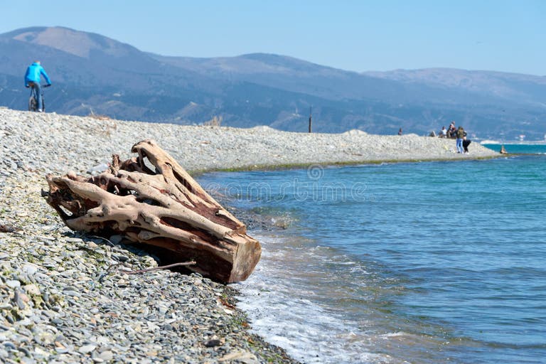 Log by the sea stock image. Image of cloud, front, lake - 128841499