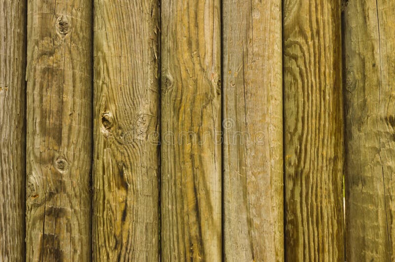 Log Boards Showing Wood Grain Stock Photo - Image of timber, rough ...