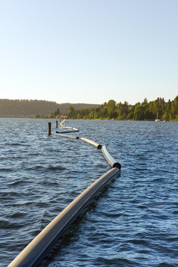 Log boom stock photo. Image of logs, barrier, sail, trees - 81366192