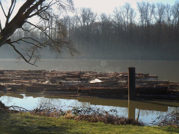 Log Boom stock image. Image of river, fraser, logging - 50542165