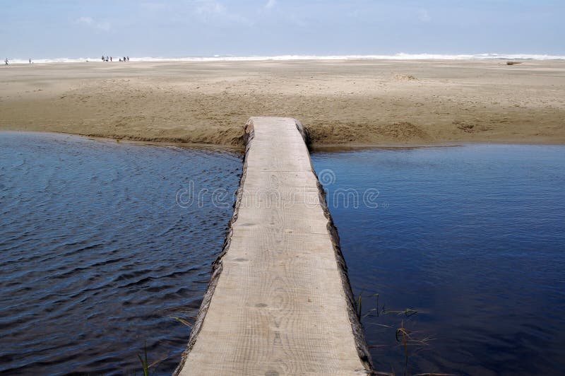 Log Bridge stock photo. Image of dune, lead, straight, ocean - 201066