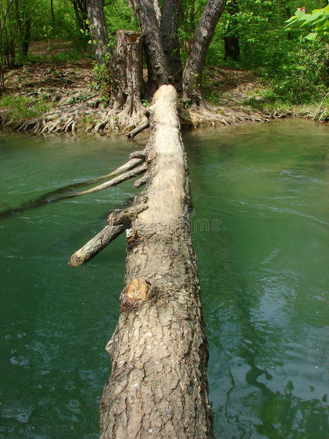 Log-bridge stock image. Image of refreshment, environment - 8318849