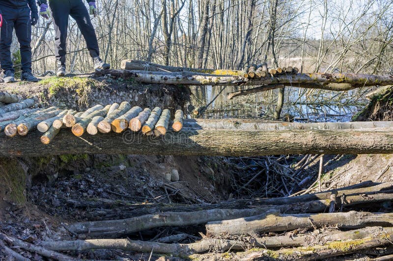 Log Bridge. Building a Bridge for Pedestrians. Bridge Over the Ditch ...