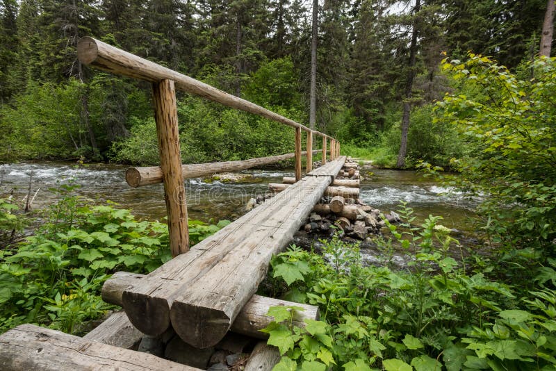 Simple Log Bridge Over Fast Moving Creek Stock Photo - Image of trail ...
