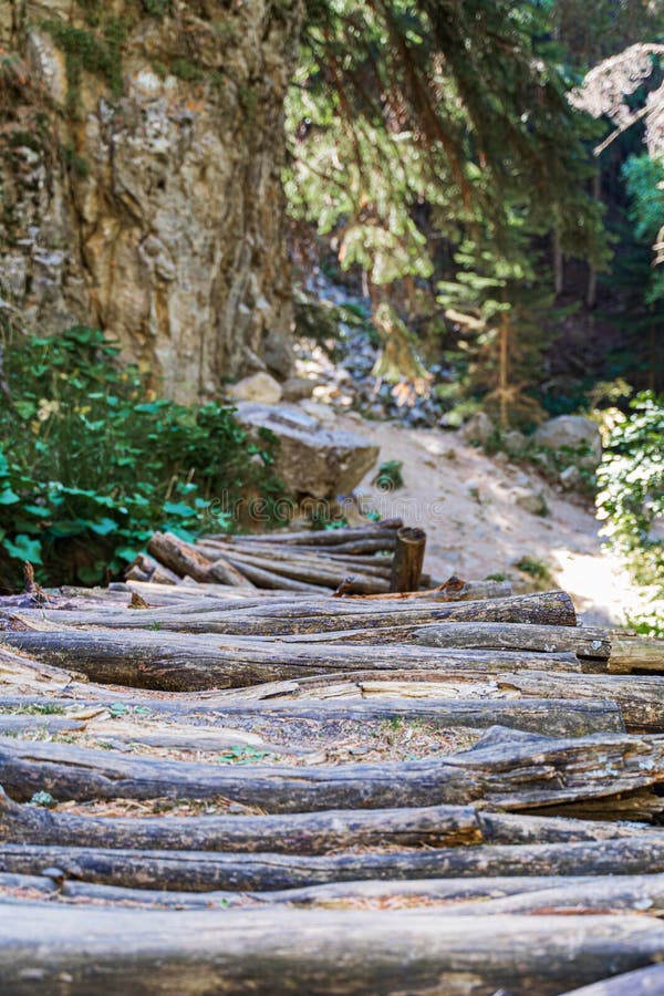 Log Bridge in the Mountains Across the Stream from the Waterfall Stock ...
