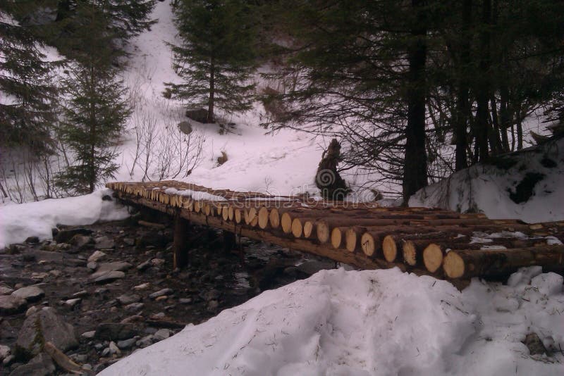 Log bridge over icy water stock photo. Image of snow - 82868222