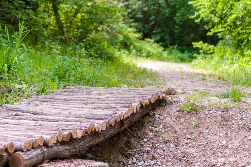 A log bridge stock image. Image of crossing, challenge - 127113087
