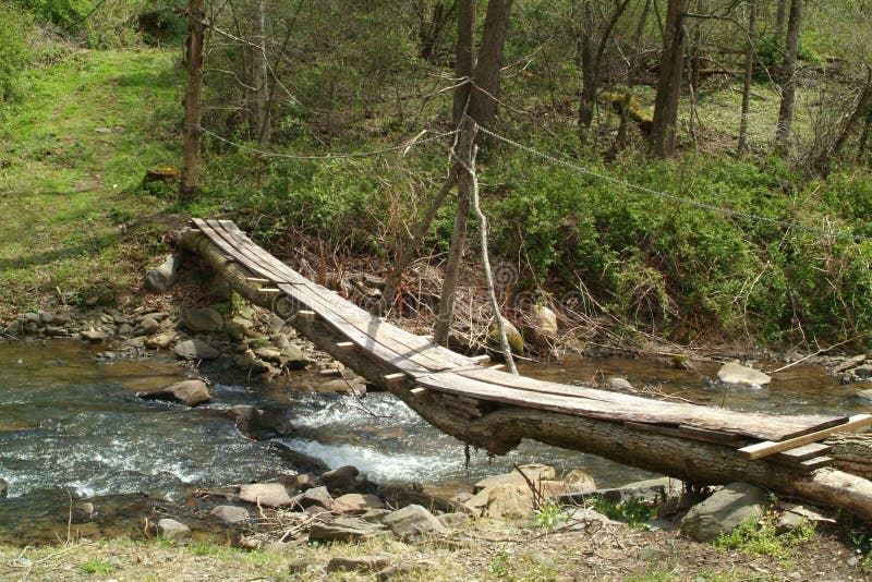 Log Bridge Over Stream stock photo. Image of creek, forest - 101973386