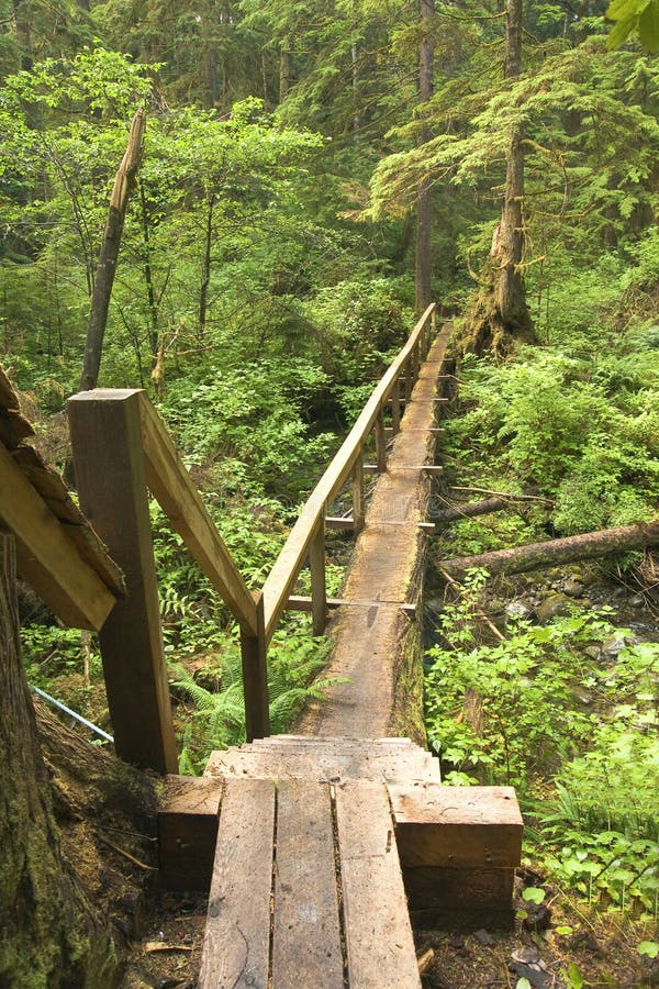 Log bridge and trail stock photo. Image of coast, handrail - 10978898