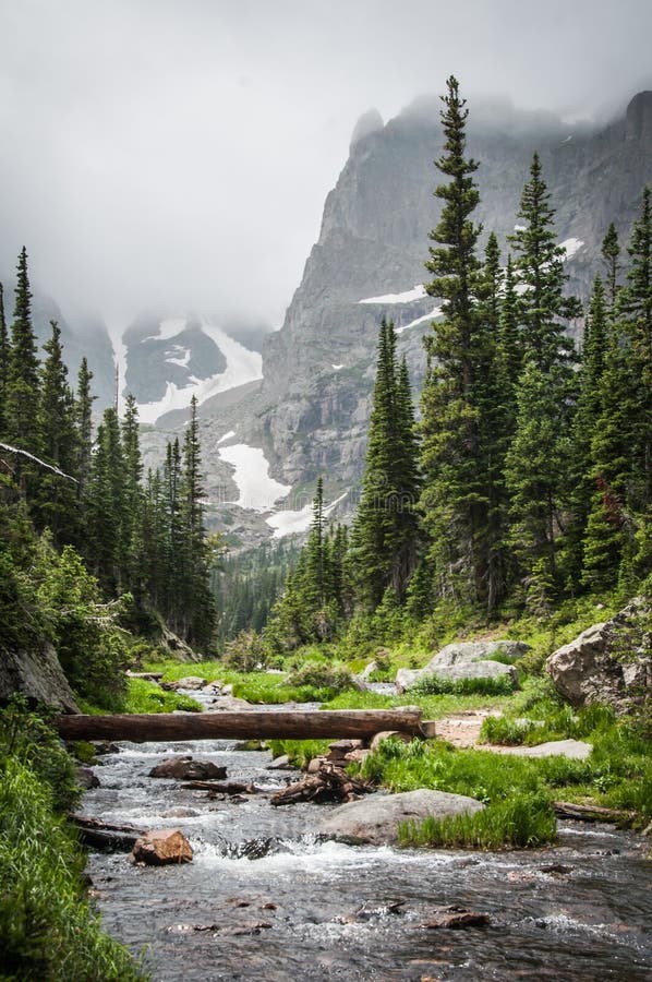 Log Bridge stock image. Image of clouds, water, nature - 66975779