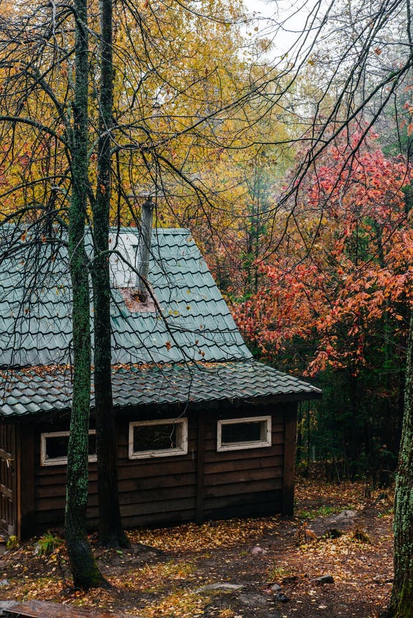 A Log Cabin in the Autumn Forest Stock Photo - Image of architecture ... A Log Cabin in the Autumn Forest Stock Photo - Image of architecture ...