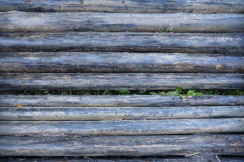 Log Cabin or Barn Unpainted Debarked Wall Textured Horizontal ...