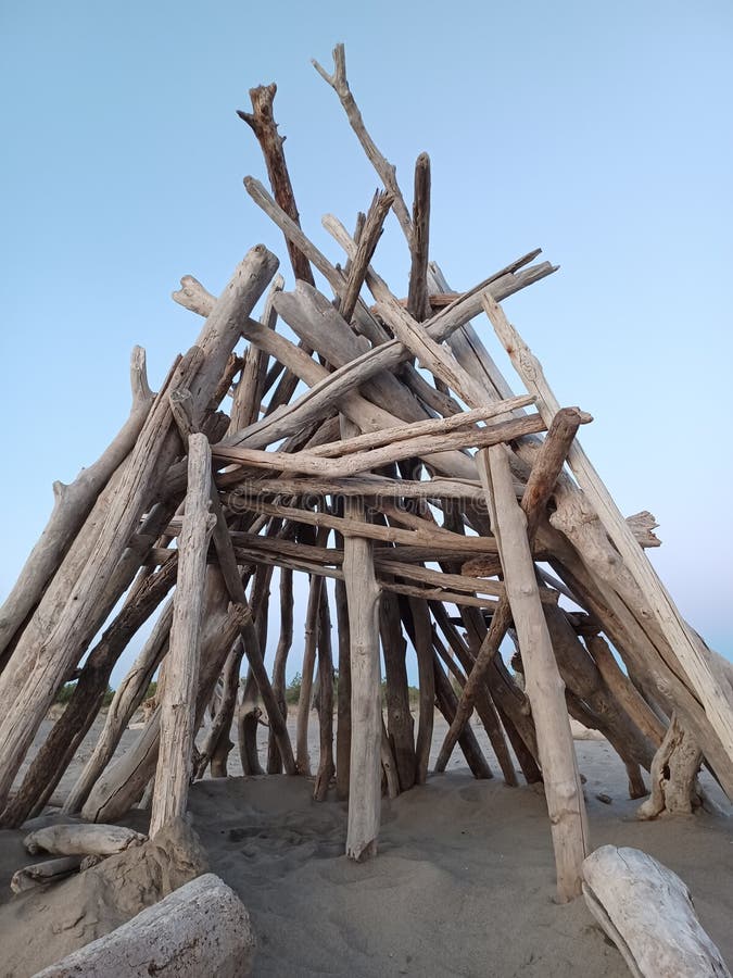 The log cabin on the beach stock image. Image of beach - 255288821