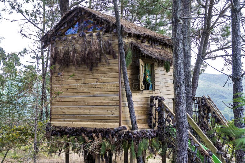 A Log Cabin Built in Some Pine Trees Stock Photo - Image of cabin ...