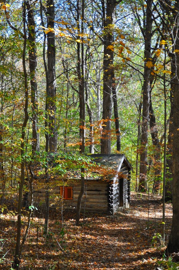 Log cabin in forest stock photo. Image of home, exterior - 2323360
