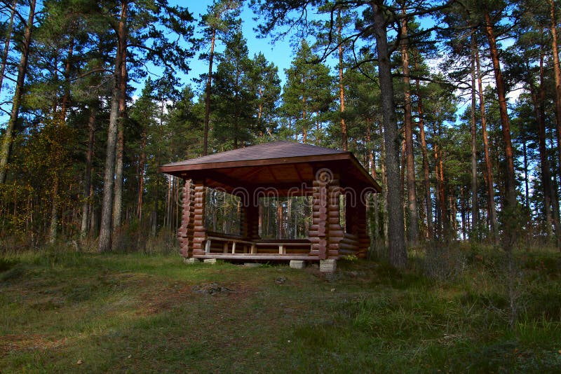 Log cabin in the forest stock image. Image of board - 157686283