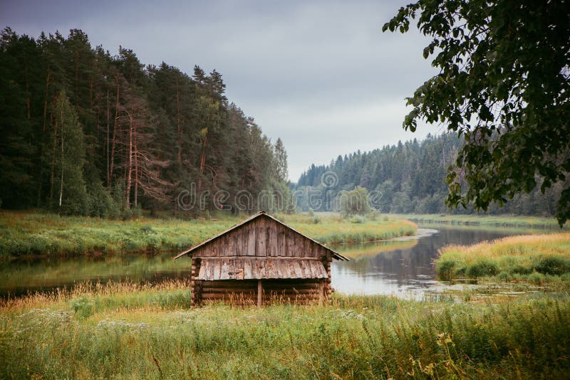 Log cabin in the forest stock photo. Image of cabin - 125729450