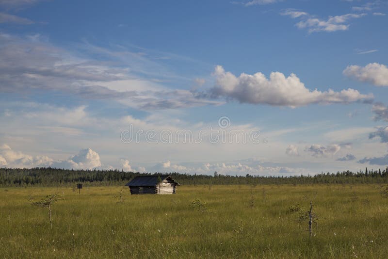 Log cabin in the forest stock photo. Image of rovaniemi - 75425424