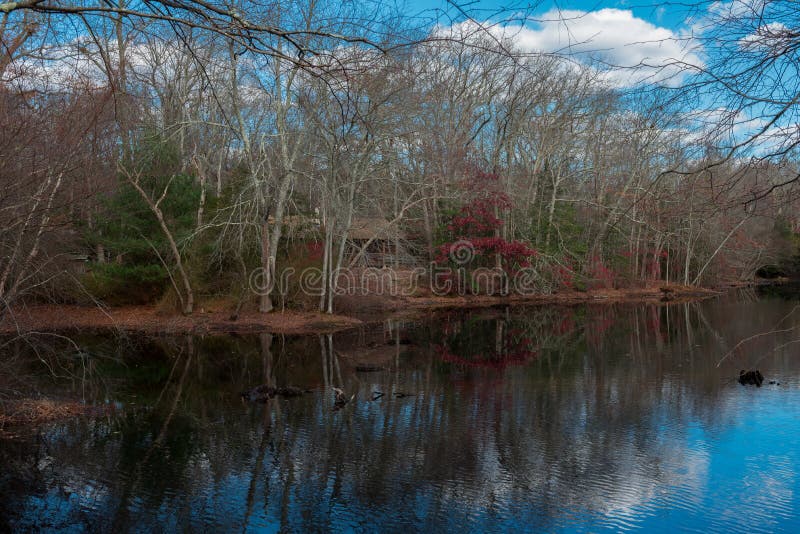 Log Cabin by Pond stock image. Image of wooded, woods - 63523549