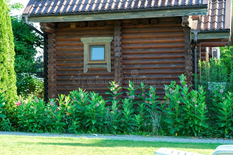Log Cabin with Window and Plants Stock Photo - Image of architecture ...