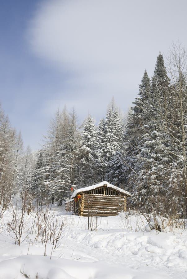 Log cabin in winter forest stock image. Image of clear - 12569251