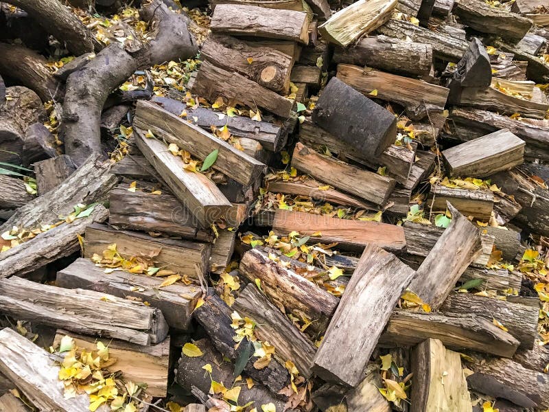 Log camp in forest stock photo. Image of nature, relax - 149942258