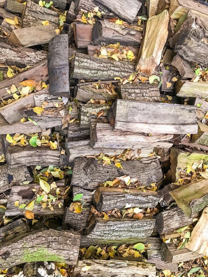 Log camp in forest stock image. Image of felling, bench - 149942739