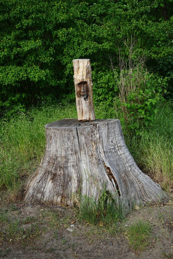 A Log with a Carved Human Face on a Stump at the Edge of a Forest ...