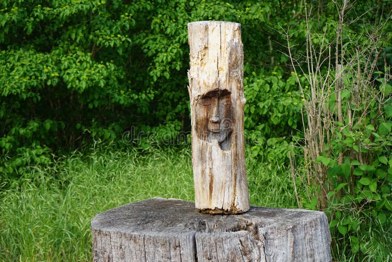 A Log with a Carved Human Face on a Stump at the Edge of a Forest ...
