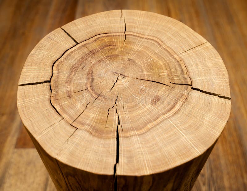 Log Core Against a Wooden Floor. Top View. Background, Texture Series ...