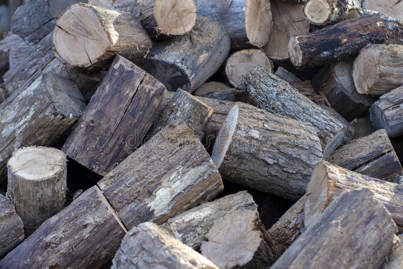 The Log is Cut into Wood. in the Backyard, Front View Stock Photo ...